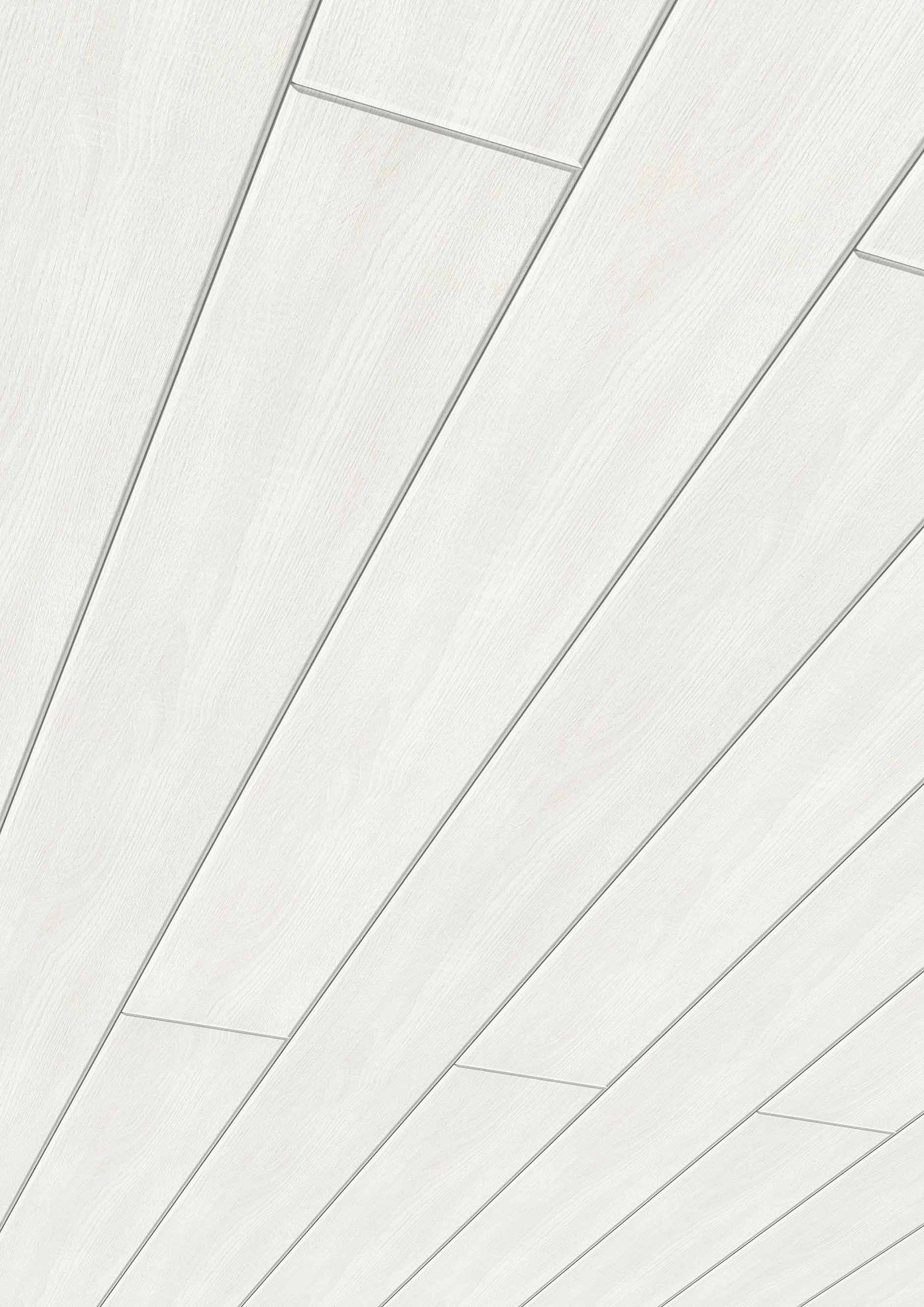 MEISTER-Paneele online kaufen | HolzLand