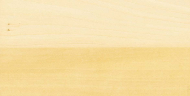 Pappel - Holzlexikon | HolzLand